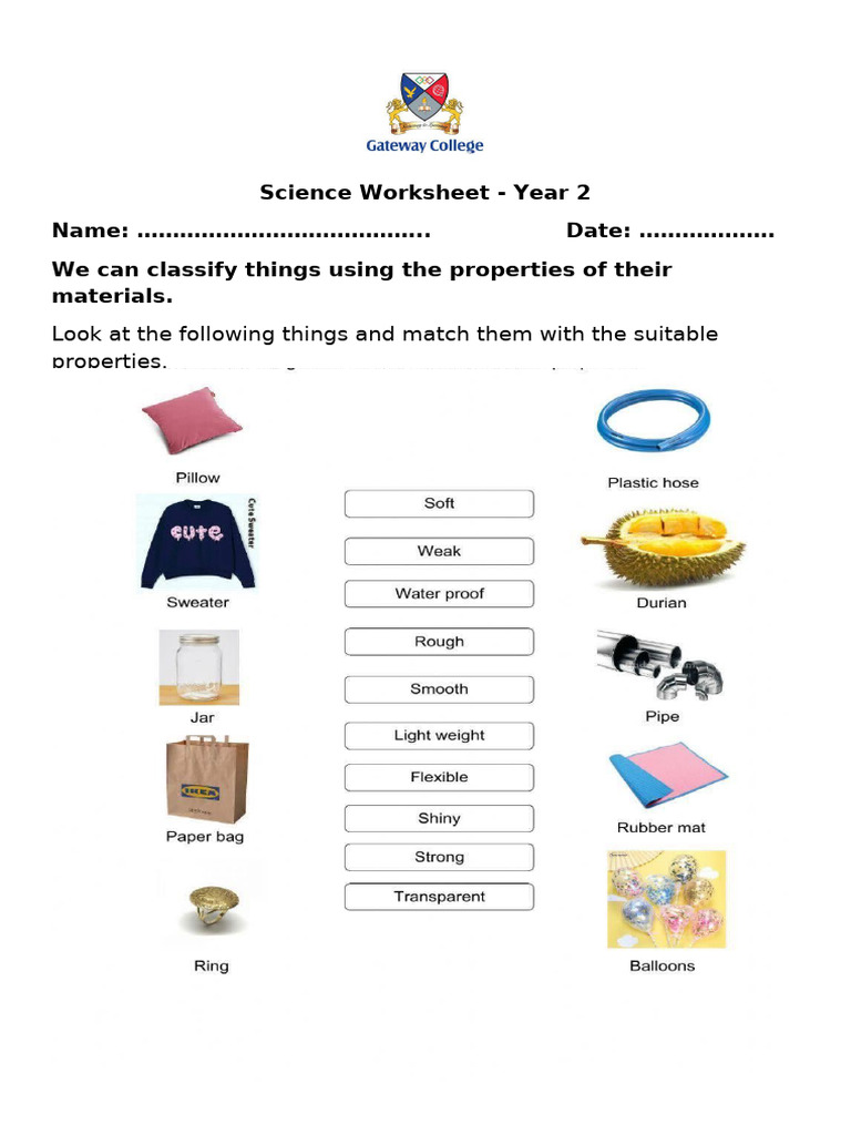 Science Worksheet | PDF