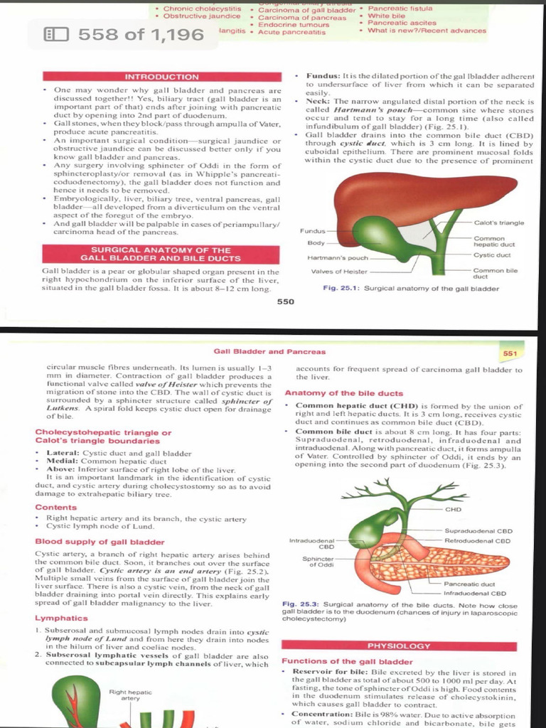 Gall Bladder | PDF | Gallbladder | Bile