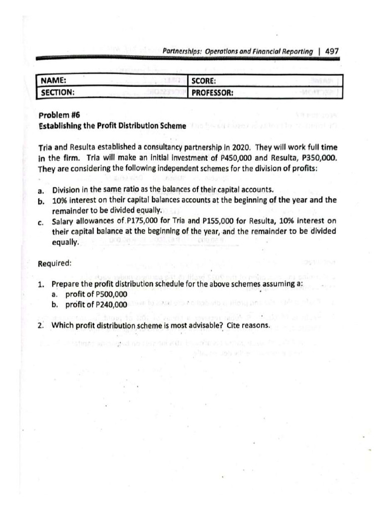 PROB 6 Estbalishing The Profit Distribution Scheme | PDF