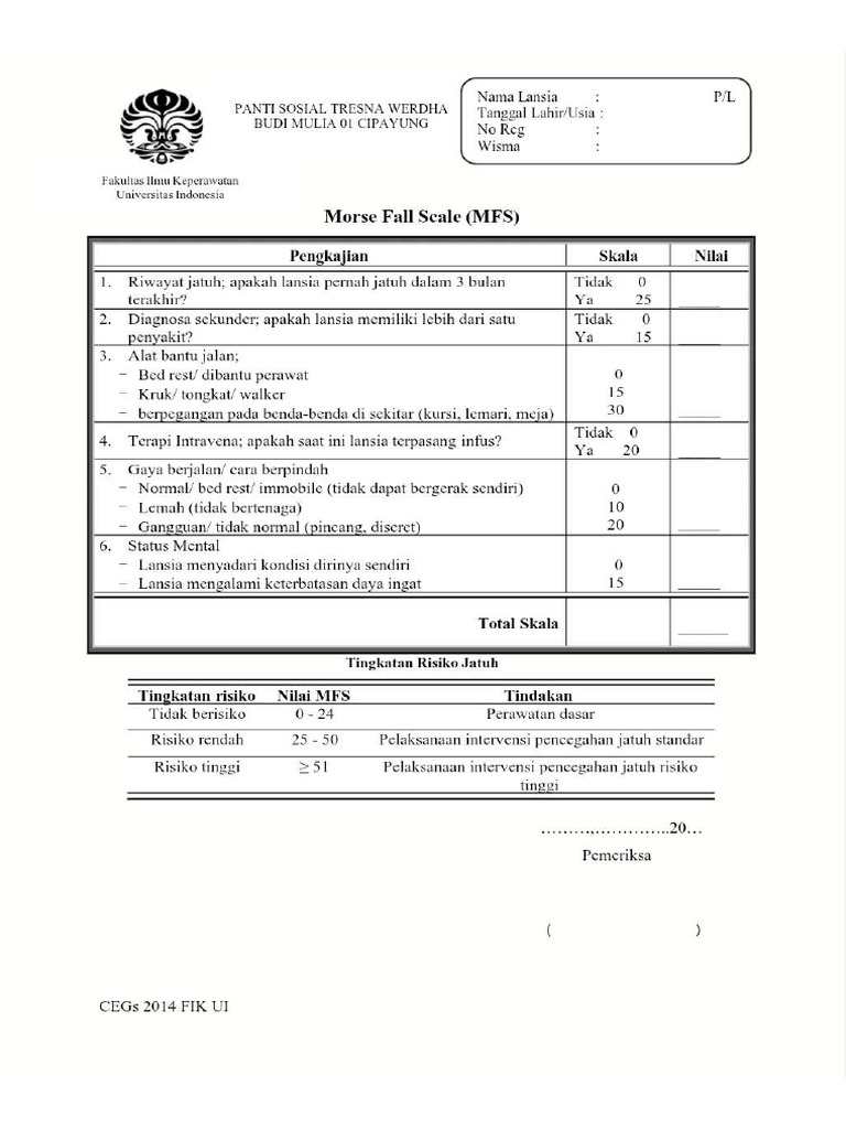 Morse Fall Scale (MFS) | PDF