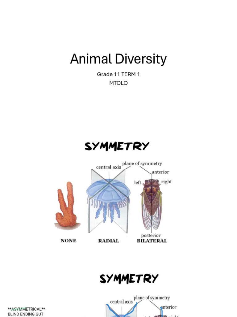 Animal Diversity | PDF