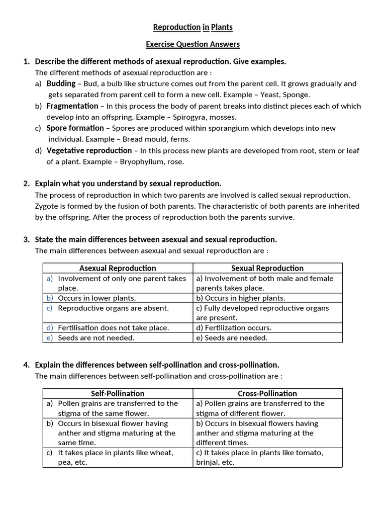 Plant Reproduction Methods Explained | PDF | Reproduction | Seed