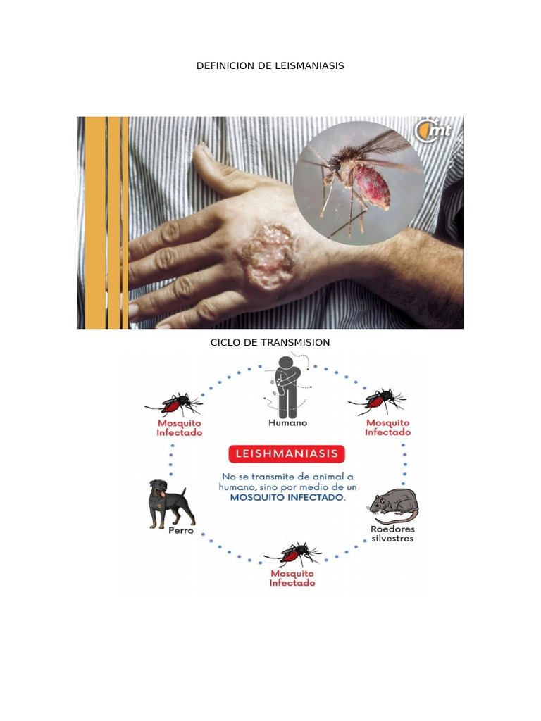 LEISHMANIASIS CORREGIDO | PDF
