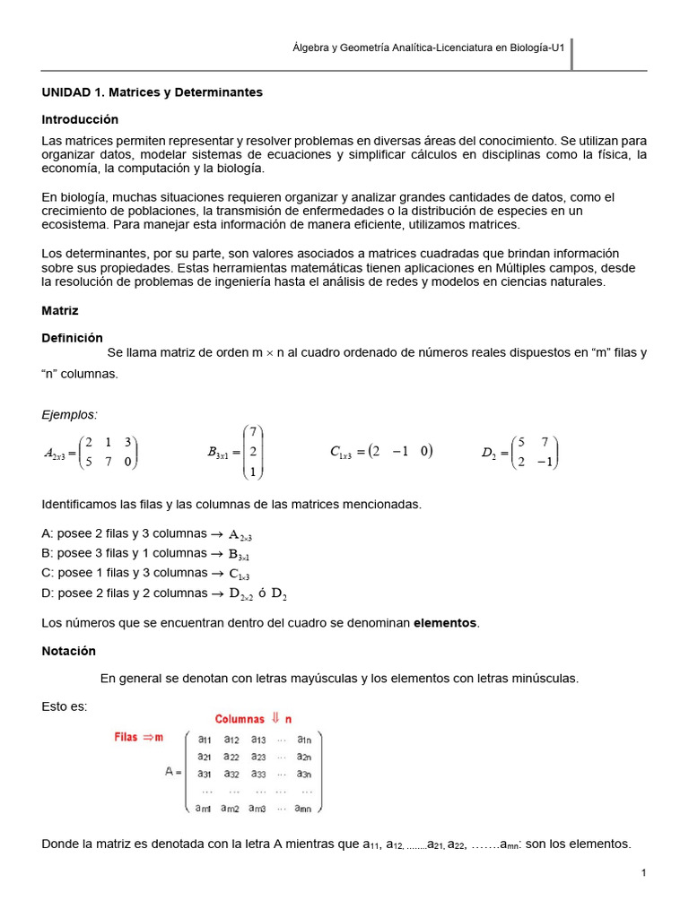 Unidad - 1 - Matrices 2025 | PDF | Matriz (Matemáticas) | Determinante
