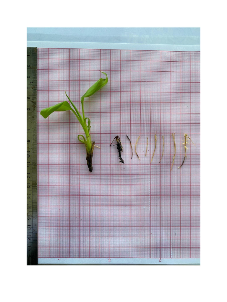 Perhitungan Parameter | PDF