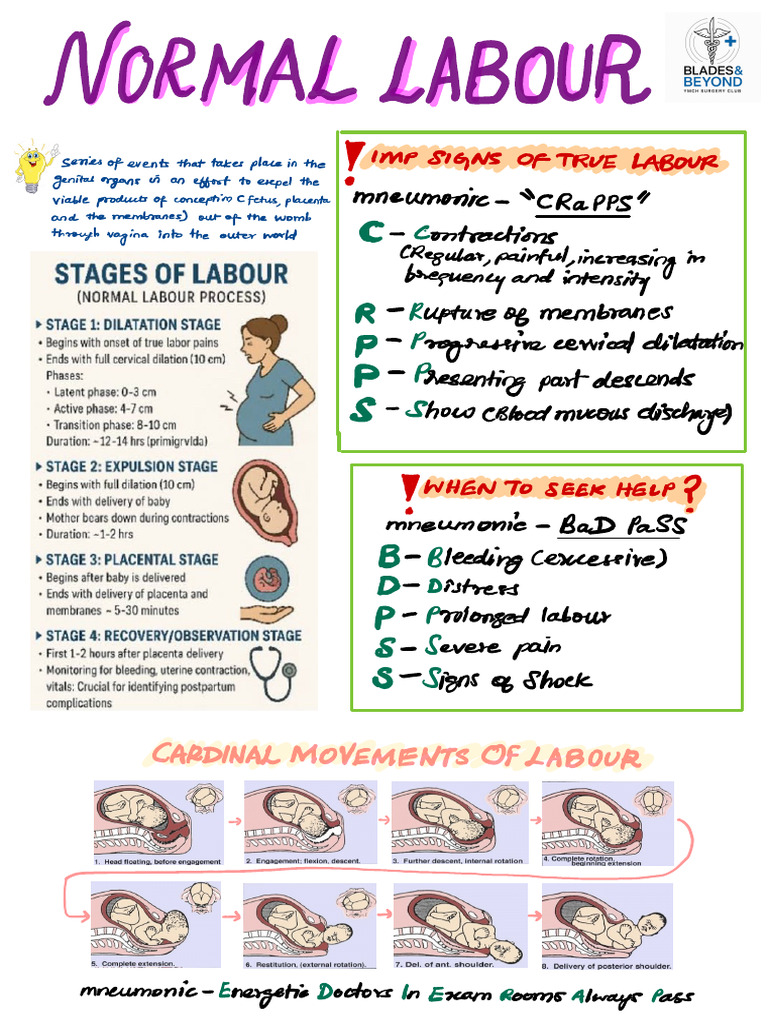 Stages and Signs of Normal Labour | PDF | Childbirth | Women's Health