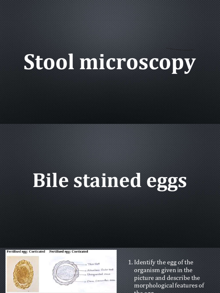 Bile and Non Bile Stained Eggs - 250818 - 231138 (3) - 113322 | PDF ...