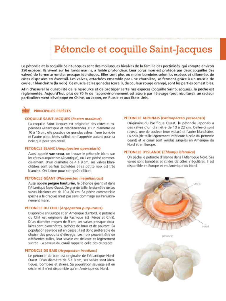 Pétoncle Et Coquille Saint-Jacques | PDF