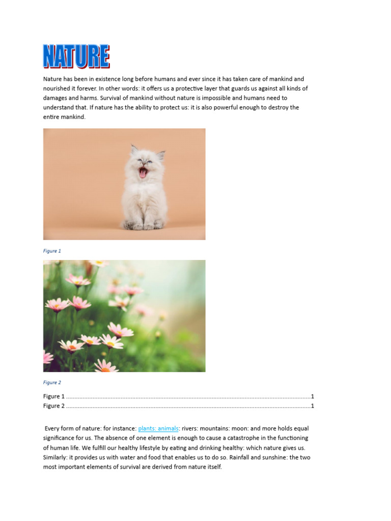 Ariya Word Advanced Assignment 1 | PDF