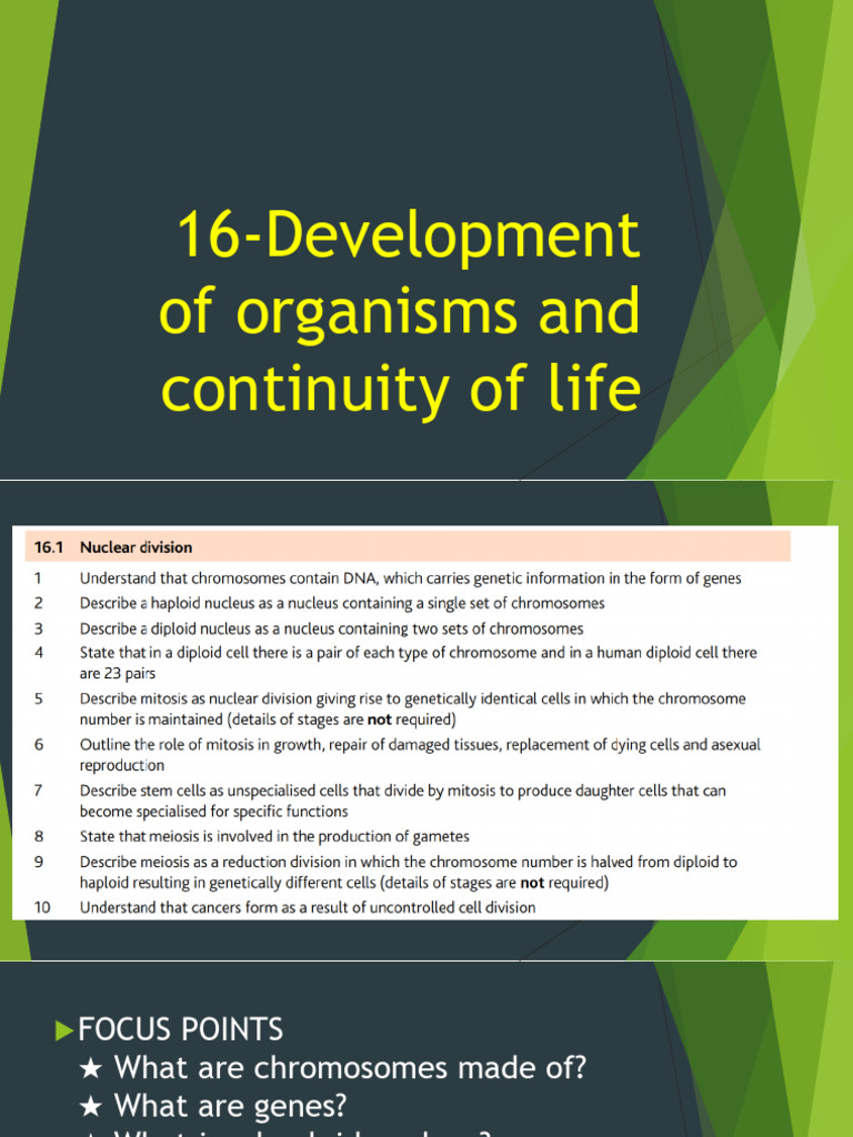 Organism Development and Cell Division | PDF | Ploidy | Cell (Biology)