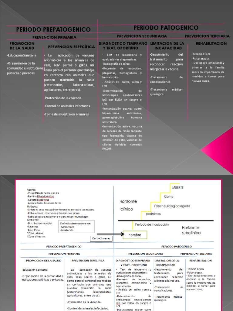 Historia Natural de La Rabia | PDF