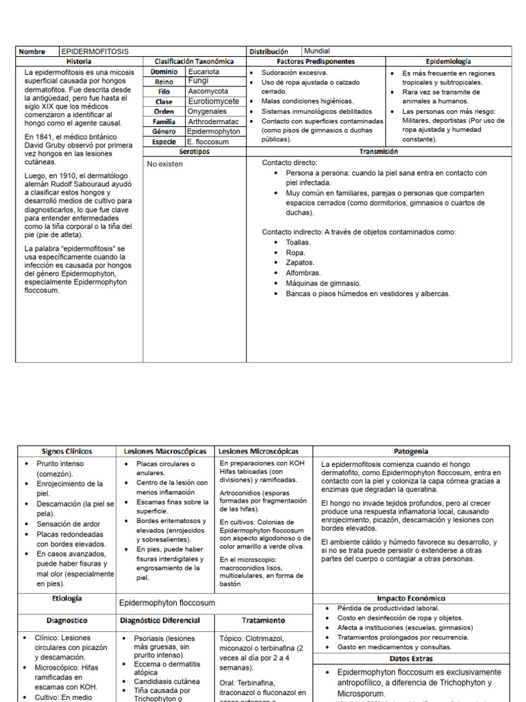 Epiderma M | PDF | Enfermedades y trastornos humanos | Piel