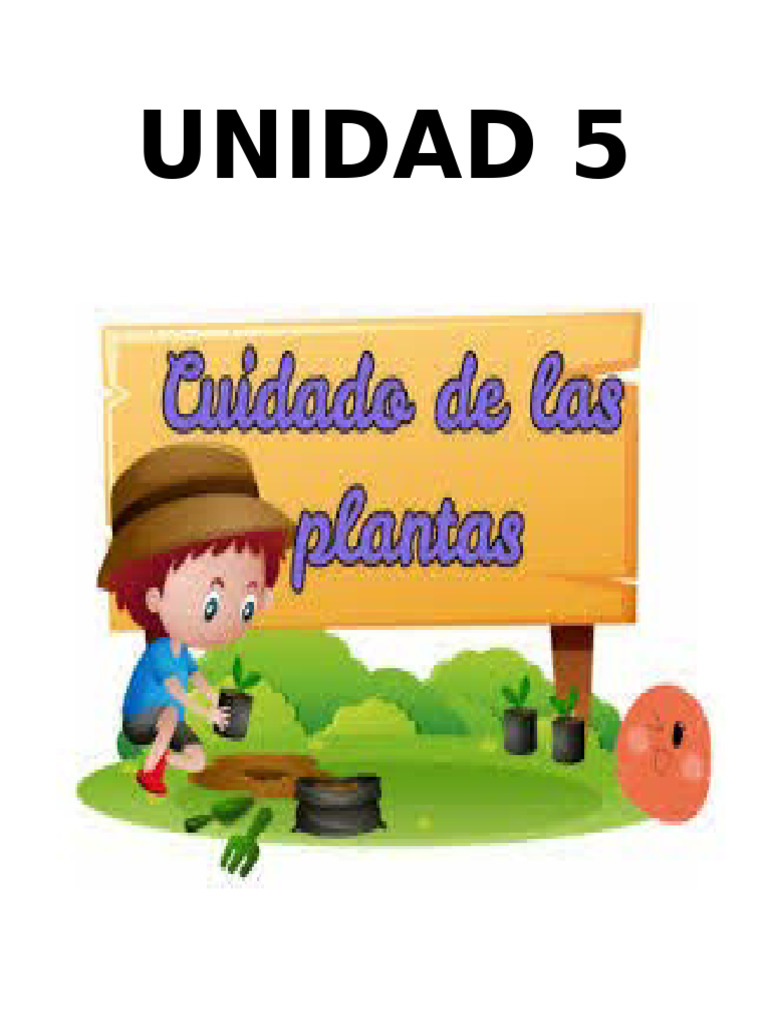 Kinder A Unidad 5 | PDF