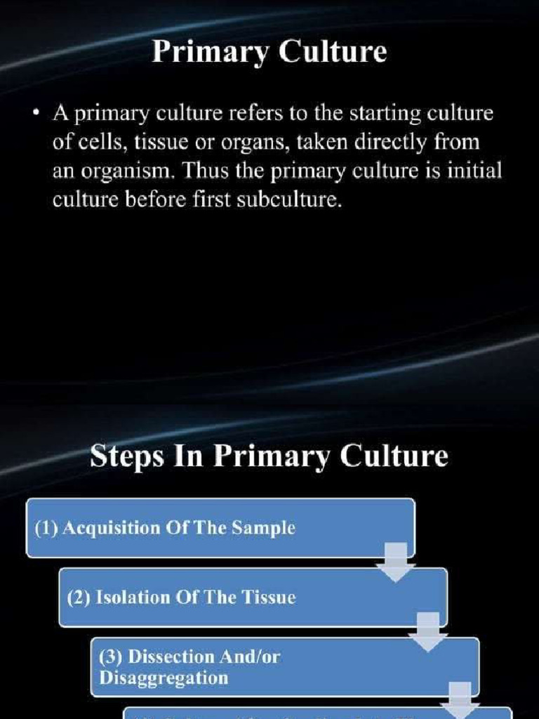 Primary Culture | PDF