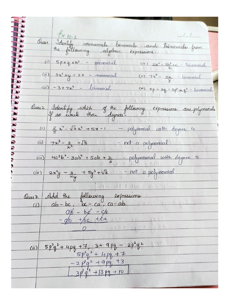 Chapter 10 Algebraic Expressions Solution | PDF
