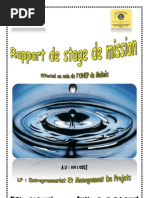 Présentation de La RADEEF | PDF | la communication