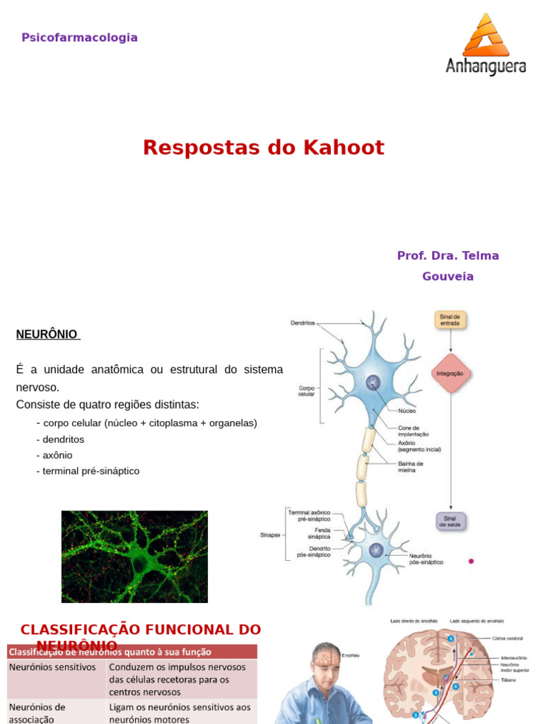 Respostas Kahoots Revisao Neurofisio | PDF | Potencial elétrico de ...