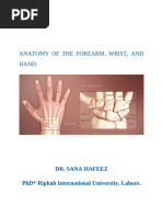 TFCC Lesions: Classification Guide | PDF | Joints | Human Anatomy