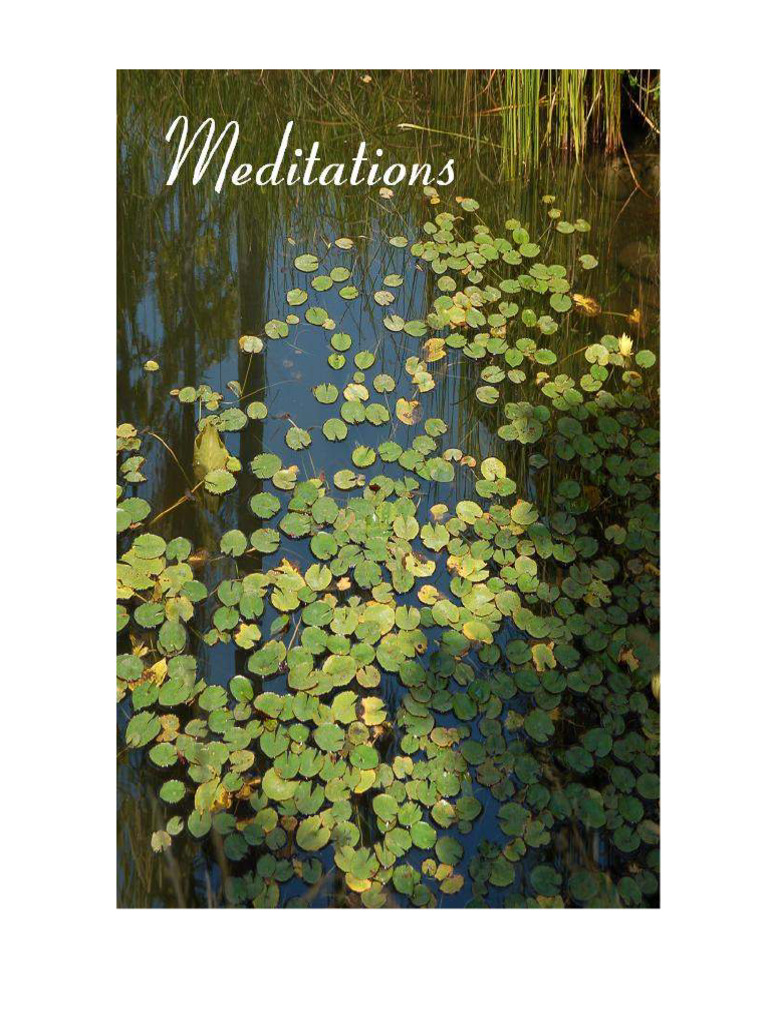 Meditations 1 | PDF