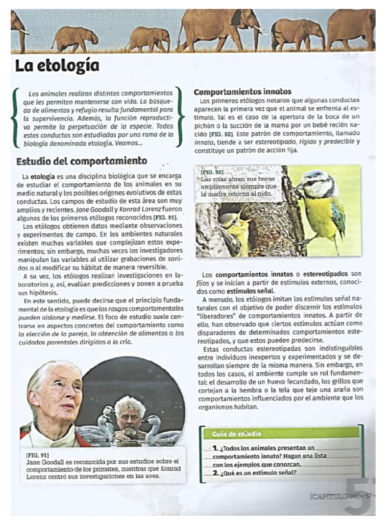 Comportamientos Innatos | PDF