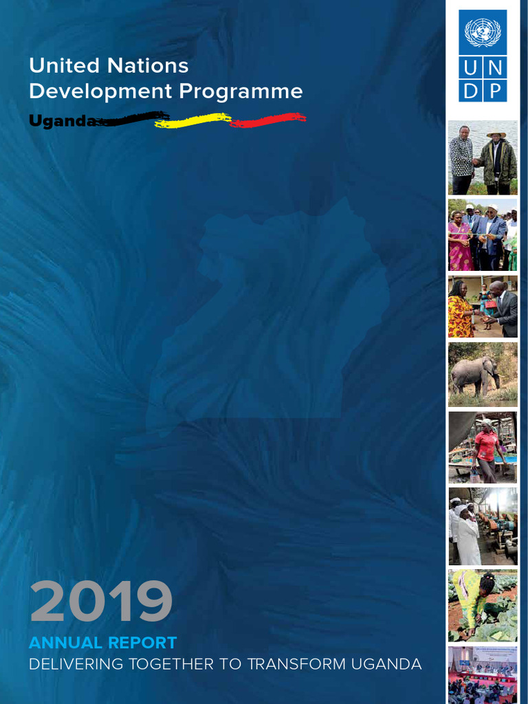 Report 202020 Final | PDF | United Nations Development Programme ...