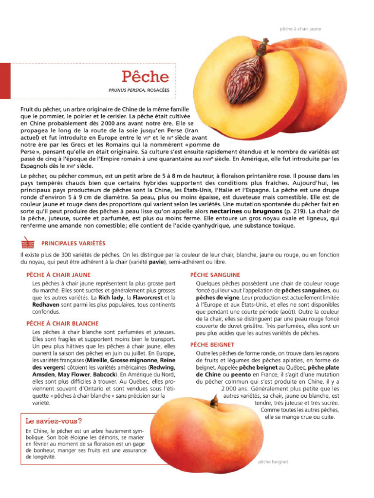 Pêche | PDF