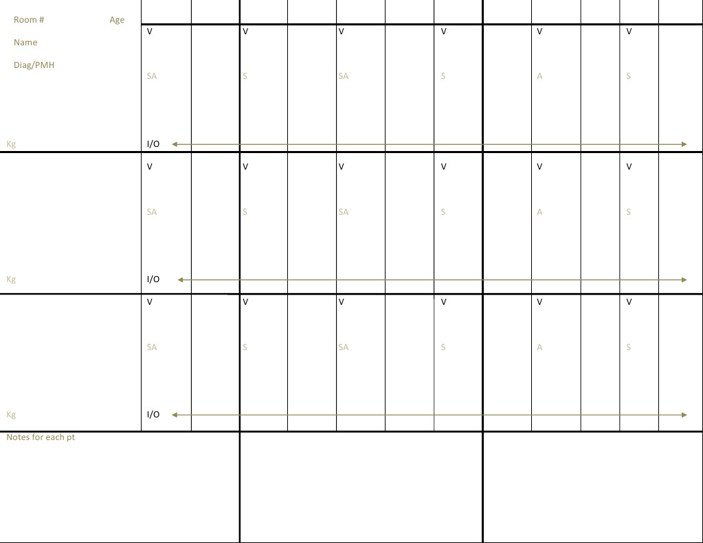 Nursing Report Sheet | PDF