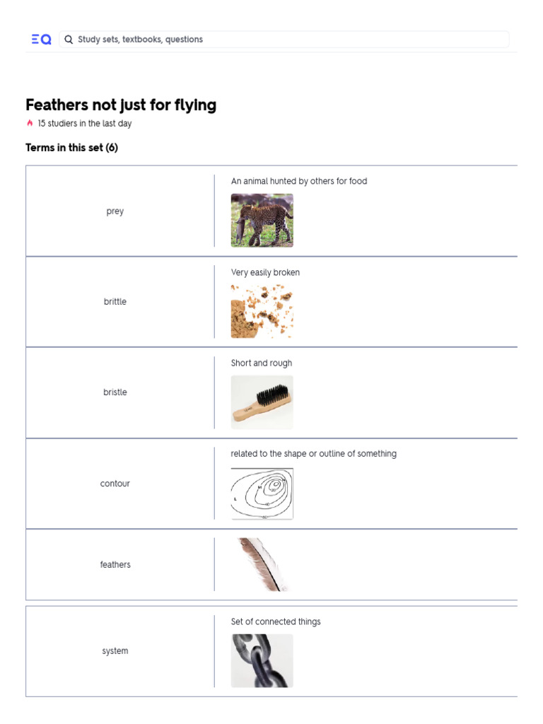 Feathers Not Just For Flying: Terms in This Set | PDF