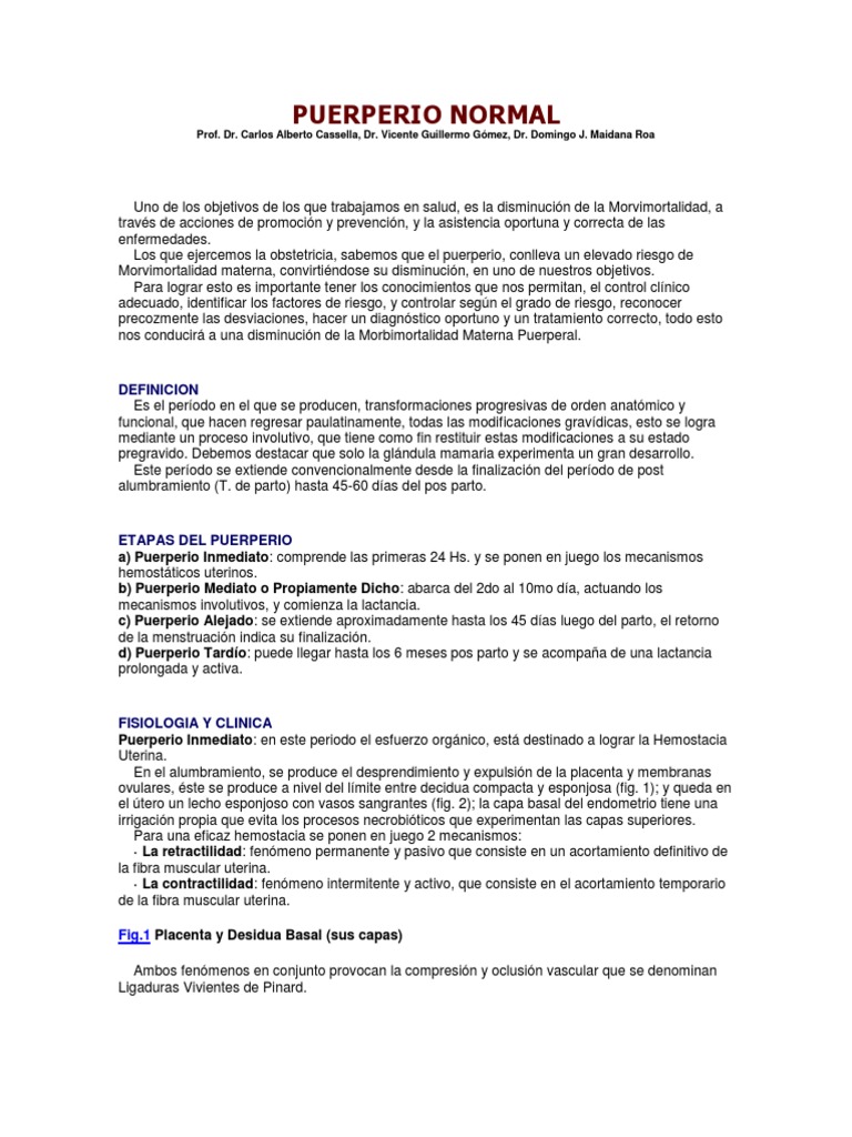 Puerperio Normal | PDF | Periodo posparto | Parto