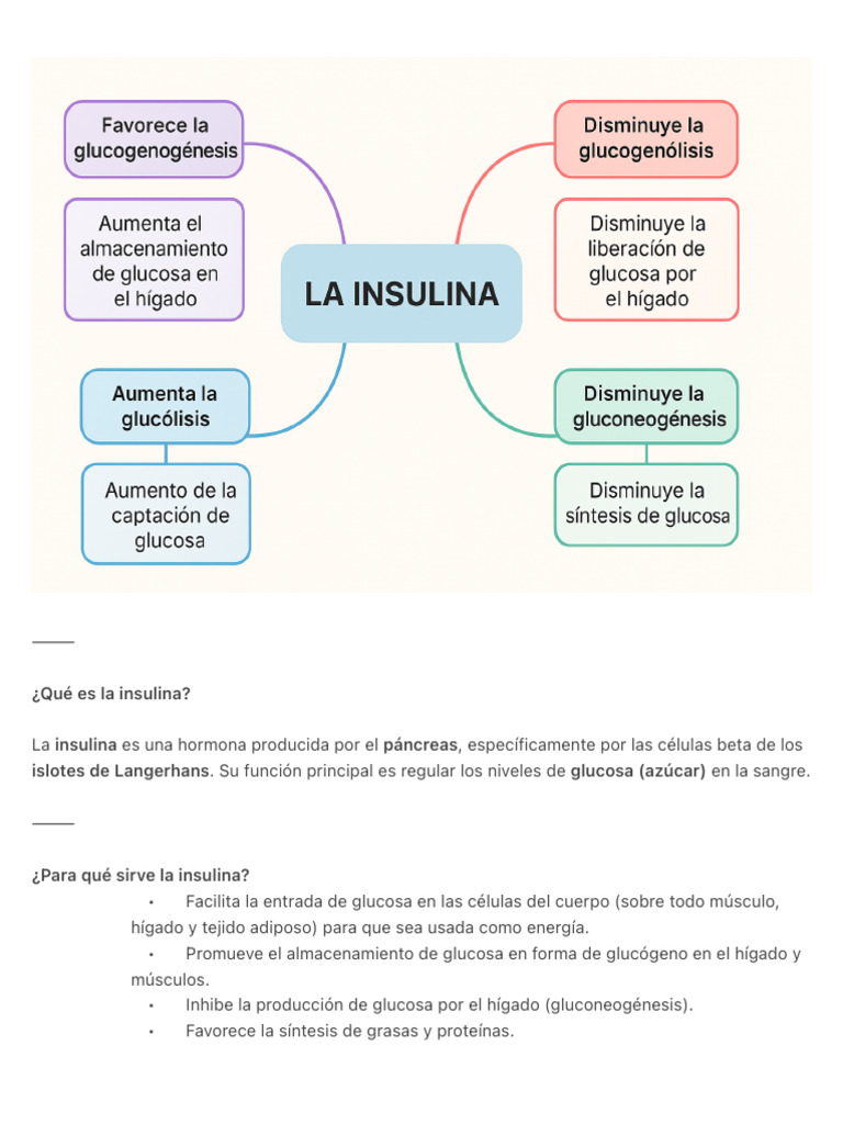 Función y Mecanismo de la Insulina | PDF | Insulina | Receptor (Bioquímica)