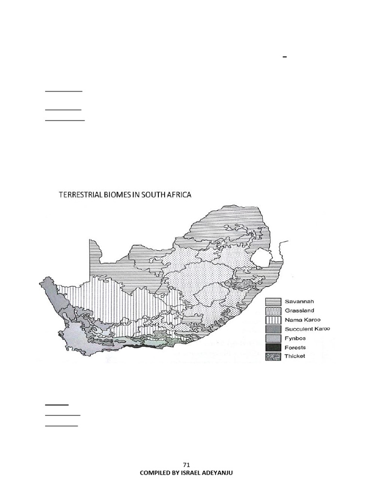 South African Biomes Overview | PDF | Food Web | Soil