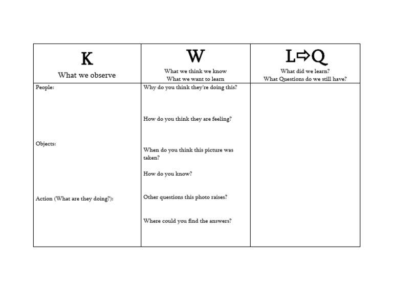 Analyzing Observations and Questions | PDF
