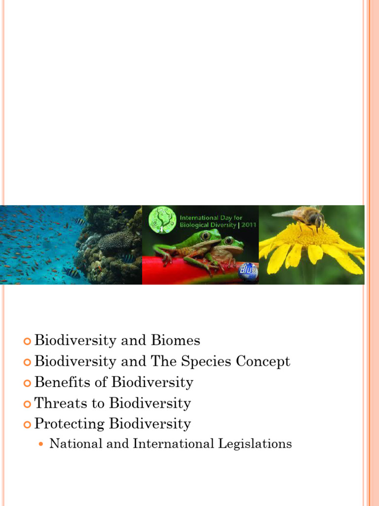 Chapter 4 Biodiversity and Protection | PDF | Biodiversity | Endangered ...