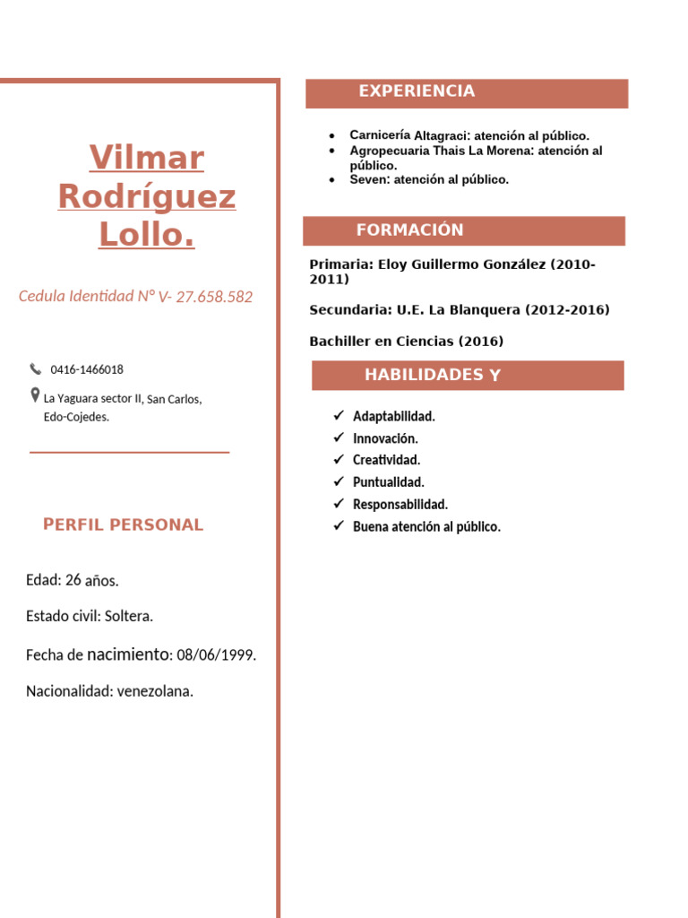 Perfil Profesional de Vilmar Rodríguez | PDF