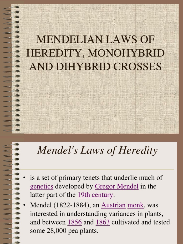Mendels Law | PDF | Heredity | Genetics