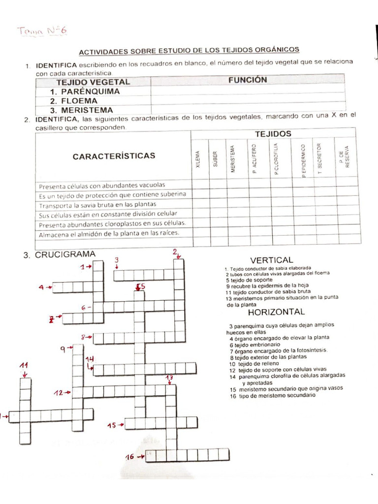 OneRead 20250822 1327 | PDF