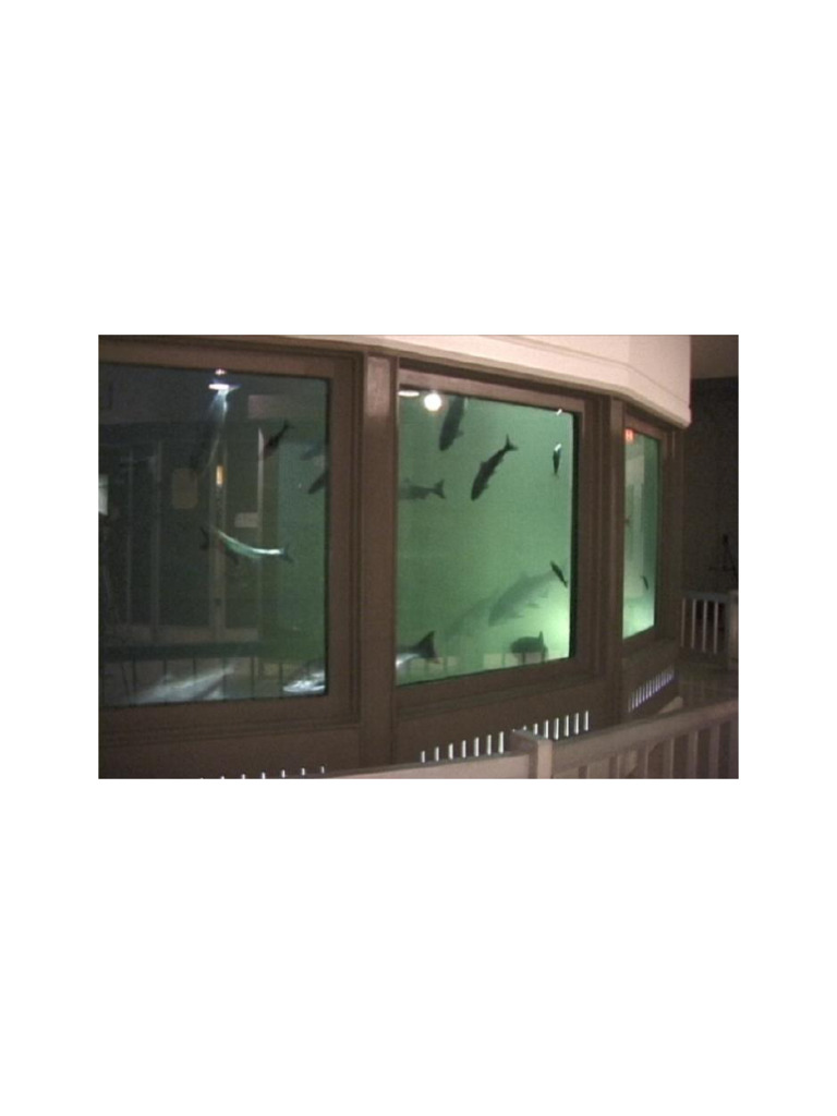 Upstream Fish Passage Systems | PDF | Flow Measurement | Dam