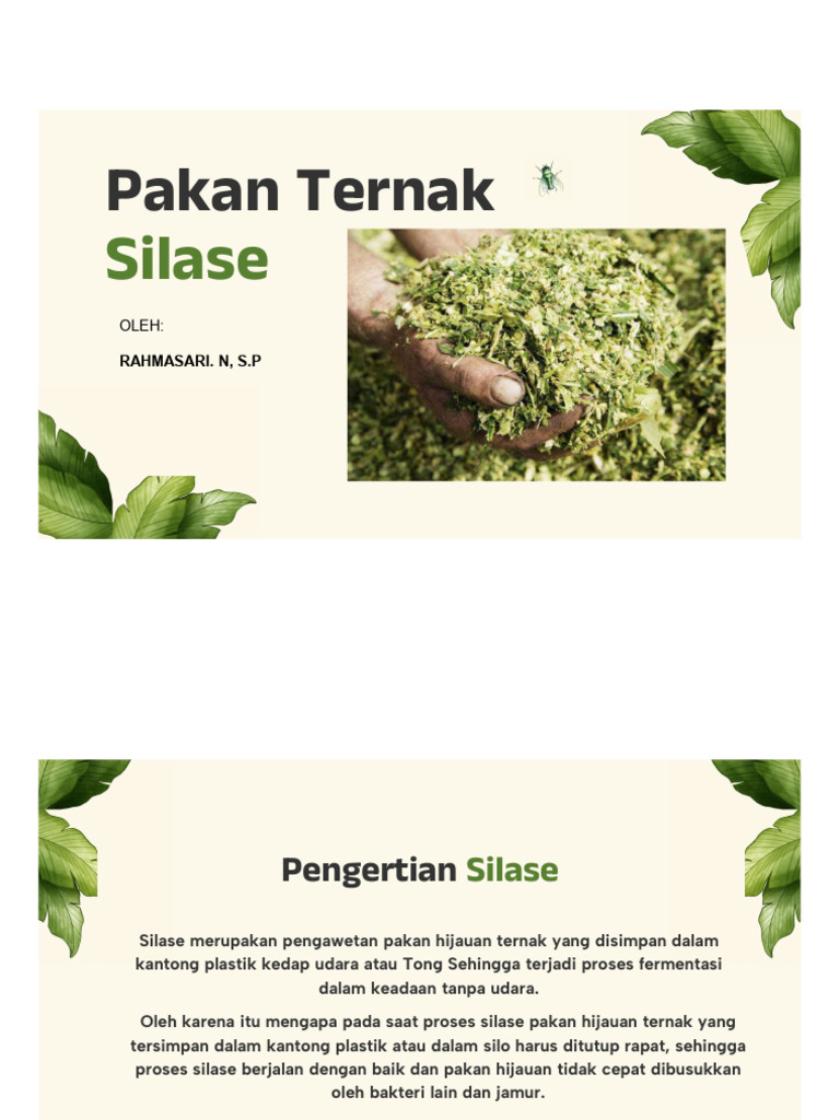 Pembuatan Pakan Ternak Silase | PDF