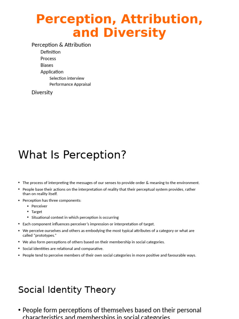 Perception, Attribution, and Diversity Insights | PDF | Perception | Bias
