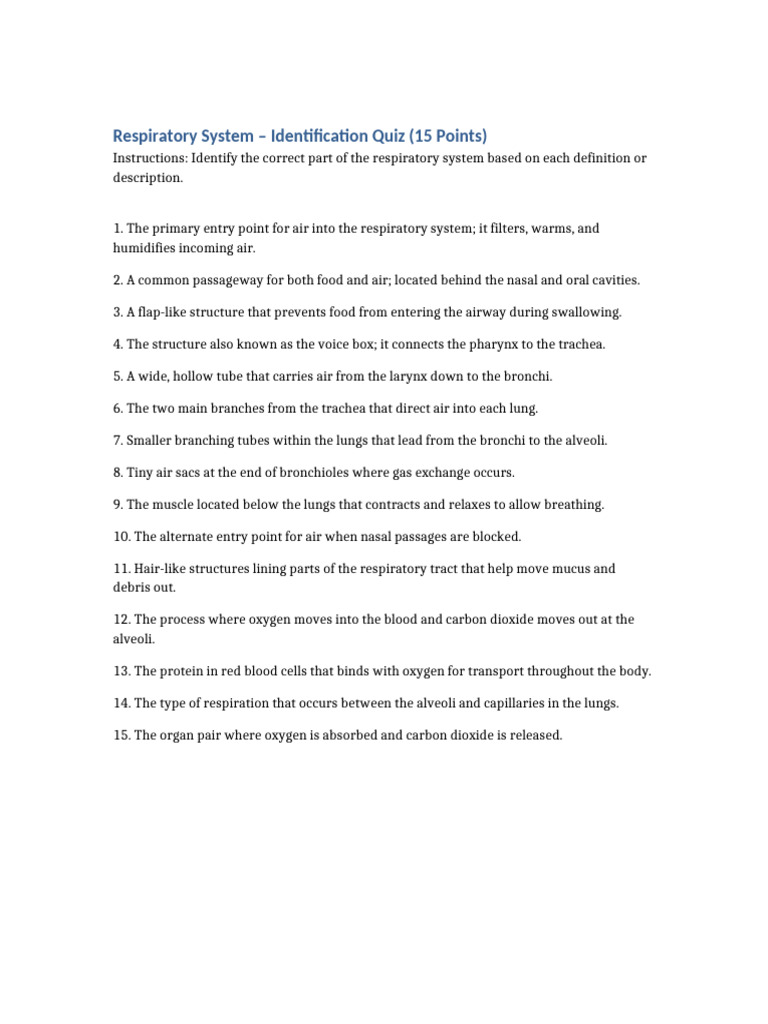 Respiratory System Identification Quiz | PDF
