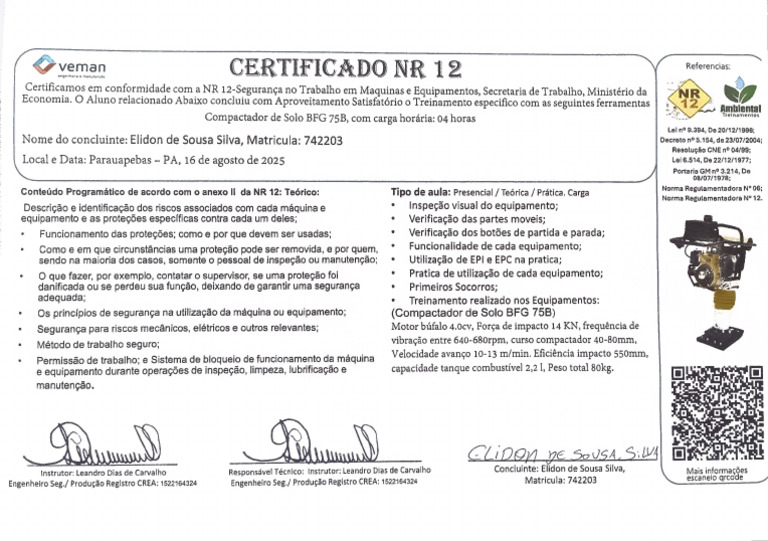 Certificado NR12 Elidon | PDF