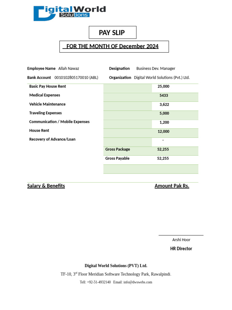 Pay Slip | PDF