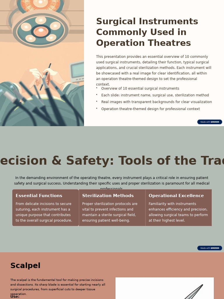 Essential Surgical Instruments Overview | PDF | Surgery | Surgical Suture