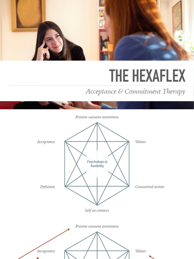 The Hexaflex | PDF