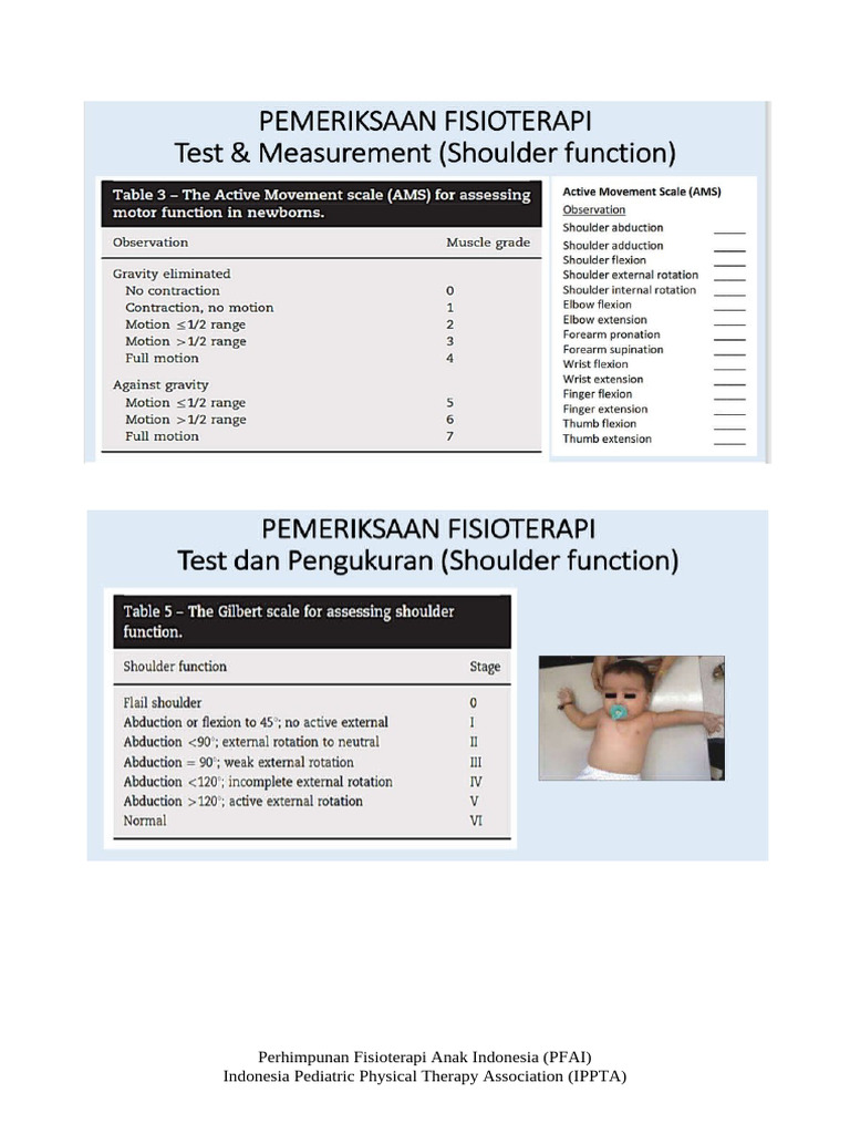 Bpi Scale | PDF