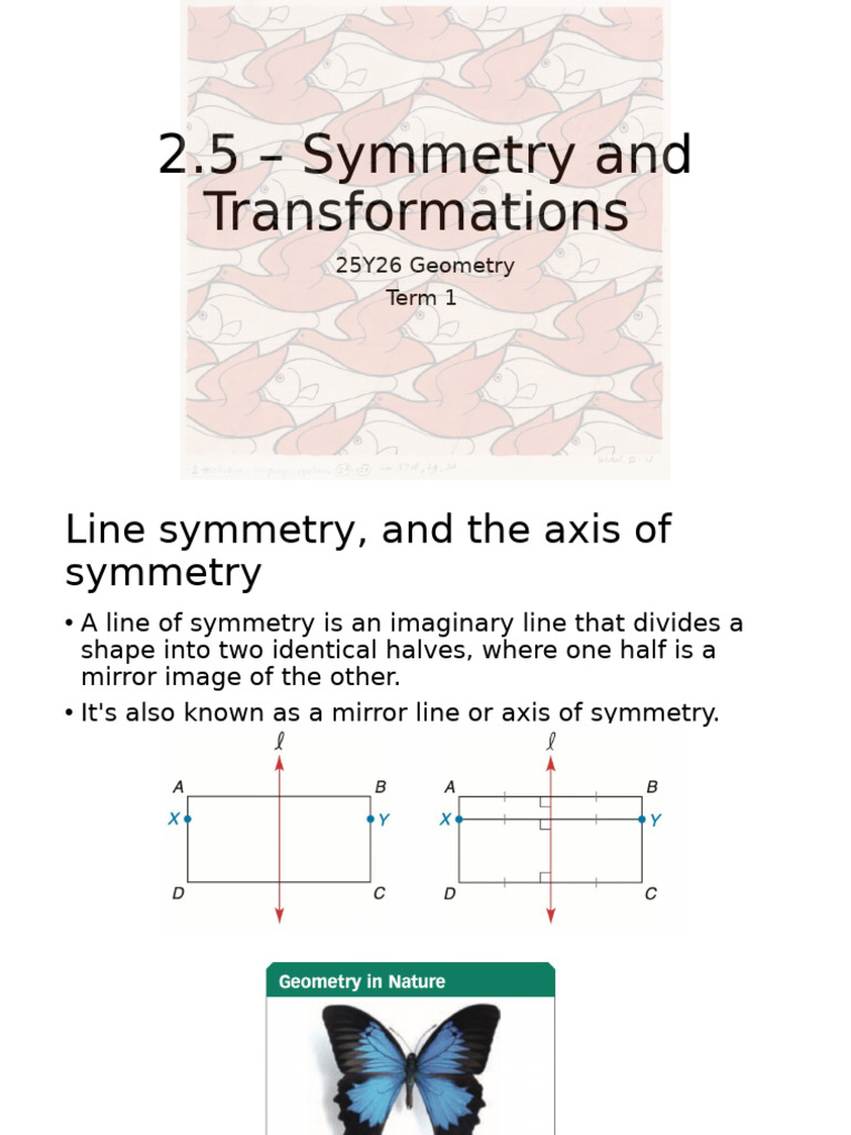 2.5 - Symmetry and Transformations | PDF