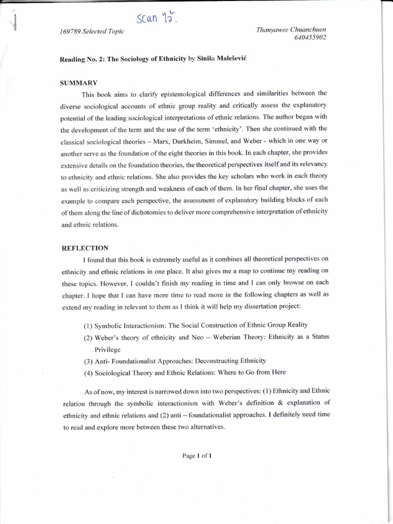 Sociological Perspectives on Ethnicity | PDF | Sociology | Science
