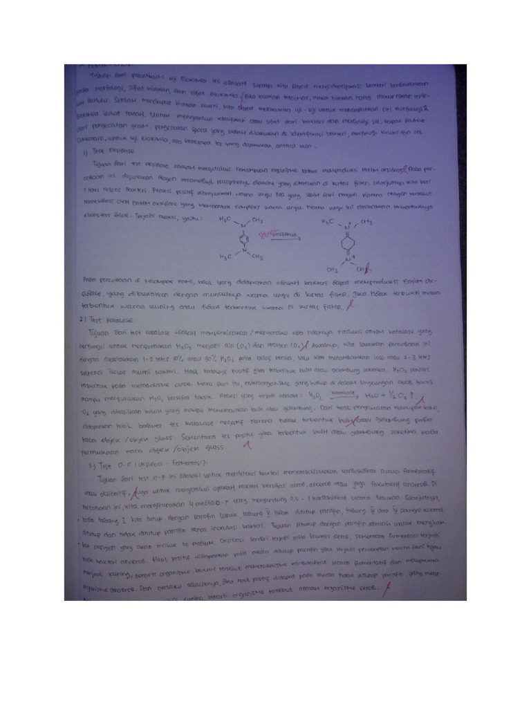 Pembahasan Identifikasi Dan Determinasi Bakteri Uji Biokimia | PDF