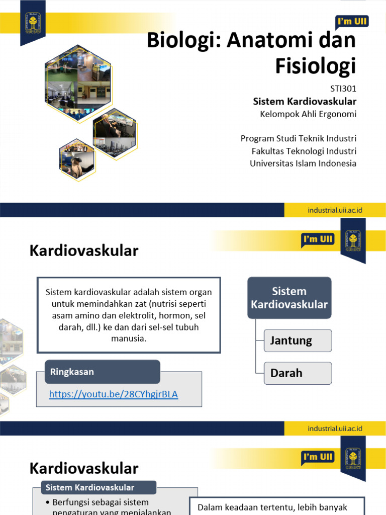 Sistem Kardiovaskular: Anatomi & Fungsi | PDF