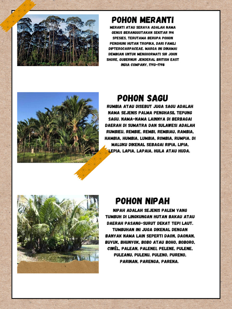 Jenis Pohon Tropis: Meranti, Sagu, Nipah | PDF